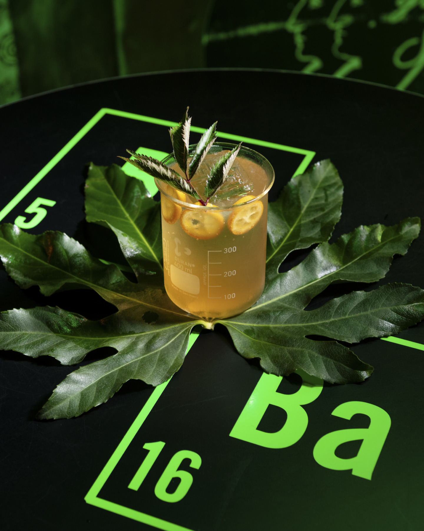 Frank Bauer Photography, Munich